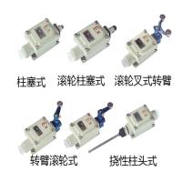 China Wall Mounting Explosion Proof Isolator Breaker 16A 220VAC 380VAC for Hazardous Areas for sale