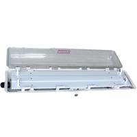 China Explosion Proof Fluorescent Light IP66 WF2 GRP 50000 Hours for Hazardous Locations Zone 1 2 21 22 for sale