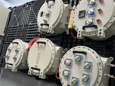 China Explosion Proof Distribution Box 220V 380V IP65 Flameproof Control Panel for Zone 1 Zone 21 for sale