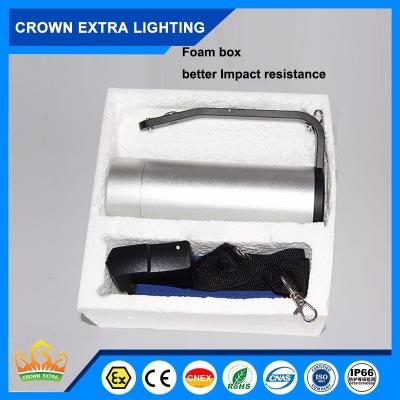 China Explosion Proof Switch 10A 220V/380V 50/60Hz IP66 G3/4 Cable Entry 9-13mm for sale