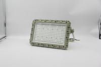 China IECEx Ex-Proof AC100V-277V High-quality clear LED floodlights with multiple mounting options for sale
