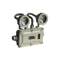 China Flameproof Rechargeable Emergency Light Ex d IIB 220VAC 2x3W Well Glass Portable for sale