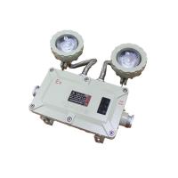 China ATEX Explosion Proof Emergency Light 220VAC 2×3W with 120min Backup Battery for Hazardous Areas for sale