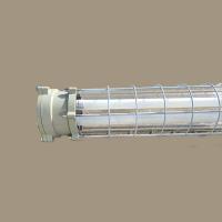 China Explosion Proof Fluorescent Light Fixture T8 T10 2x20W 2ft 18 Inch Double Tube Linear Lamp Hazardous Areas for sale