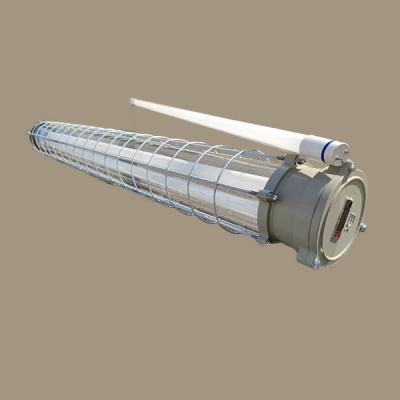 China Explosion Proof T8 LED Tube Light 4ft 2ft 0.6m ATEX Waterproof Energy Fluorescent Lighting G 3/4 Cable Entry for sale