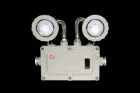 China ATEX Flameproof Emergency Lighting 2x3W with 180min Backup - IIC Grade IP66 Rated for Hazardous Areas for sale