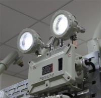 China Aluminum Alloy Explosion Proof Emergency Light 180 Mins Wall Mounted for Zone 1 2 21 22 for sale
