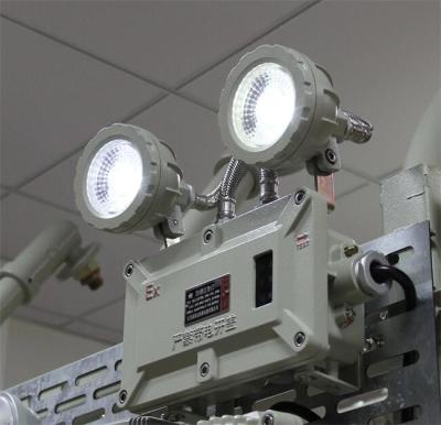 China Aluminum Alloy Explosion Proof Emergency Light 180 Mins Wall Mounted for Zone 1 2 21 22 for sale