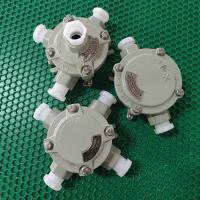 China 4-Way Explosion Proof Flameproof Junction Box Aluminum Alloy DN15-DN100 Thread Sizes for Hazardous Areas for sale