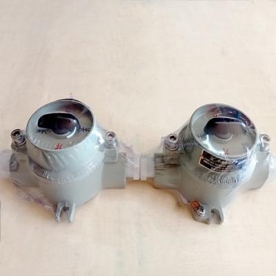 China 10A IP65 Explosion Proof Switch Box for Hazardous Areas - 220V AC Rating with G3/4'' Inlet for sale