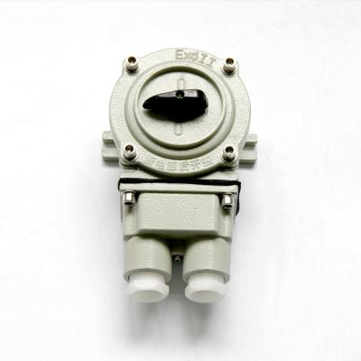 China 9mm-13mm Cable Spec Explosion Proof Switch with Surface Mounting and IP66 Protection Level for sale