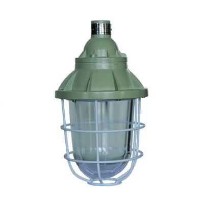China ATEX Explosion Proof HID Light Fixture 200W 400W with IP55 Rating for Hazardous Zone 1&2 Applications for sale