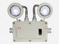 China High Lumen Powered 2*3w Waterproof Flameproof Explosion Proof Emergency Light With Wall And Ceiling Mounting for sale