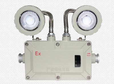China High Lumen Powered 2*3w Waterproof Flameproof Explosion Proof Emergency Light With Wall And Ceiling Mounting for sale