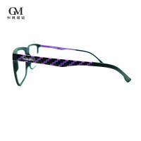 China Durable Swiss EMS TR90 Multi Purpose Eyeglasses Transitions Eye Wear 51-16-140mm for sale
