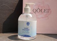 China Disinfection Against Germs Instant Hand Sanitizer for sale