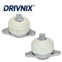 China DRIVNIX High-Quality Engine Mount for Mercedes-Benz S-Class W221 (2005-2013) OE 2212406417/2212406517 for sale