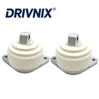 China DRIVNIX High-Quality Engine Mount for Mercedes-Benz S-Class W221 (2005-2013) OE 2212406417/2212406517 for sale