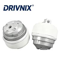 China DRIVNIX High-Quality Engine Mount for Mercedes-Benz S-Class W221 (2005-2013) OE 2212406217/2212406317 for sale