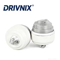 China DRIVNIX High-Quality Engine Mount for Mercedes-Benz S-Class W221 (2005-2013) OE 2212406217/2212406317 for sale
