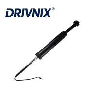 China DRIVNIX Air Suspension Shock Absorber Strut For Maserati OE 670105403 for sale