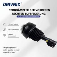 China DRIVNIX High-Quality Air Suspension Strut, Compatible with Mercedes-Benz W212 CLS550 4Matic 2012+ 2123203438 A2123202938 for sale