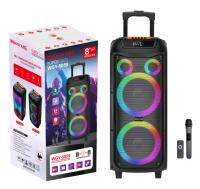 China 8 quot Woofer Portable Party Speaker with LED Lighting and Bluetooth Connectivity from Temeisheng for sale