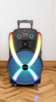 China Packing Size 442*382*715MM Portable Party Speaker with 18-inch Bass Speakers and Karaoke PA System Included for sale