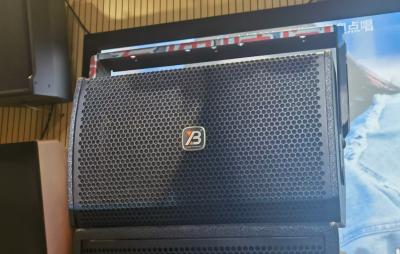 China Professional Karaoke Loud Speaker 8 Inch 250 Watt Rated Power 122 Decibel Maximum Sound Pressure Level for Loud Music for sale