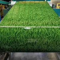 China Pattern Designed Color Coating Aluminum Alloy Coil Material For Wall Fence for sale