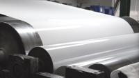 China White / Black Ral 9010 Color Coated Aluminum Sheet In Coil 3003 H14 For Production Gutters Or Downspout Making for sale
