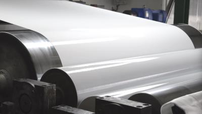China White / Black Ral 9010 Color Coated Aluminum Sheet In Coil 3003 H14 For Production Gutters Or Downspout Making for sale