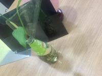 China Alloy 1085 0.80mm Thickness Silver Aluminum Mirror Sheet With Reflectivly Above 96% For Solar Energy Panel Making for sale