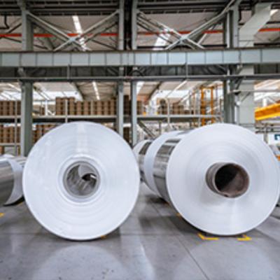 China Aluminum Alloy 3105 coils for Cold Storage Interior Wall Panels (0.6–1.0mm | Custom Width | Moisture-proof PE Layer) for sale