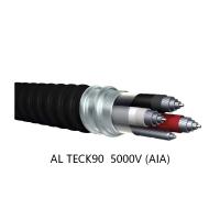 China AL TECK90 5000V (AIA), UL Cables aluminum armored power cables for oil gas processing plants power generation and utility infrastructure projects for sale