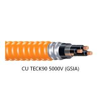 China TECK90 5000V (GSIA) UL Cables Copper Armoured Power Cable Medium Voltage for sale