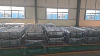 China Galcanized steel coil,plate for sale