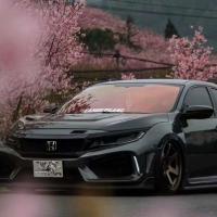 China NASDIO 80% Rose Red Chameleon Front Windshield Tint Film Stylish Eco Friendly Versatility for sale