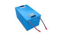 China 60V 60AH Lithium Ion Battery For Tuk Tuk Electric Tricycle Adult 3 Wheels Motorcycle for sale
