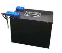 China 48v 60AH Lifepo4 Battery For 1000W Velo Bike Taxi Electric Rickshaw Tuk for sale