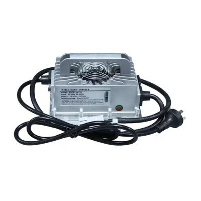 China 36Volt Electric Tricycle Tuktuk  Battery Pack Charger Ion 800W Battery Charger  36V 15A for sale