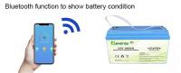 China 12V LiFePo4 Battery Pack 100AH 100A Max Charge Current Safe Replace Lead Acid Battery for sale