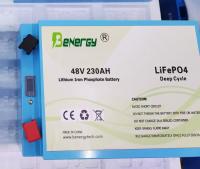 China 48V 230Ah LiFePO4 Battery Pack with Metal Case for Deep Cycle Applications in Solar, RV, and Golf Cart for sale
