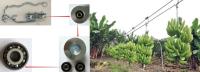 China Iron Banana Cableway Roller  Zinc Silver Banana Farm Trolley Roller Pulleys for sale