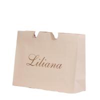 China Custom Luxury Pink Coated Paper Gift Bag 12x8x4 Inches with Handles for sale