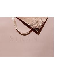 China Custom Luxury Pink Coated Paper Gift Bag 12x8x4 Inches with Handles for sale