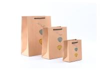 China Custom 10x8in Brown Kraft Jewelry Gift Bags with Handle for sale