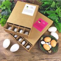 China Custom Eco-friendly Quail 20 Eggs Box with Handle - Brown Corrugated Cardboard Egg Carton for Packaging for sale
