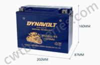 China ODM Dynavolt MG24HL-BS Nano Gel ATV Batteries T4 LEAD Terminal 24Ah 12V 4 Wheeler Battery for sale