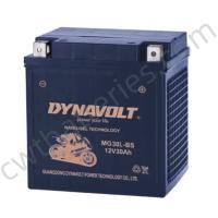 China 12V 30Ah Recreational Vehicle Batteries 125CC Four Wheeler Battery DYNAVOLT MG30L-BS-C for sale
